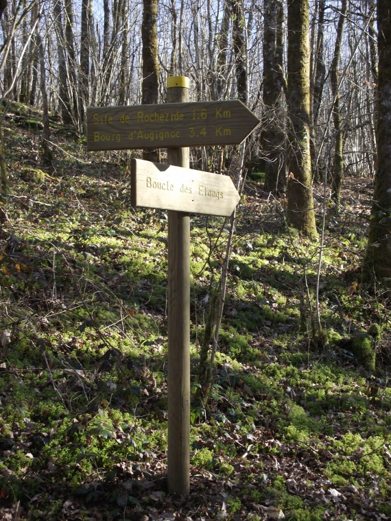 Boucle des Etangs Augignac | Augignac | Perigord.com