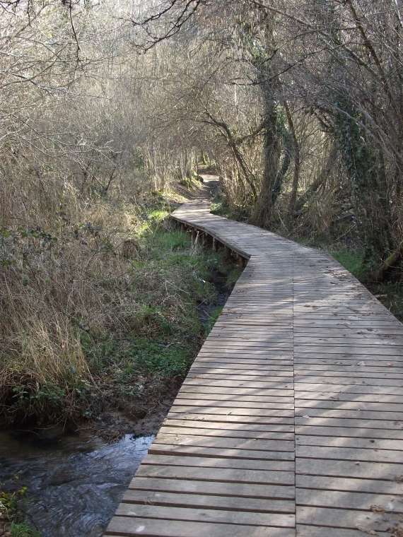 Boucle des Etangs Augignac | Augignac | Perigord.com