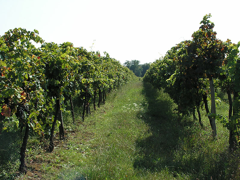 Boucle de Vélines - Vélines | Vélines | Perigord.com