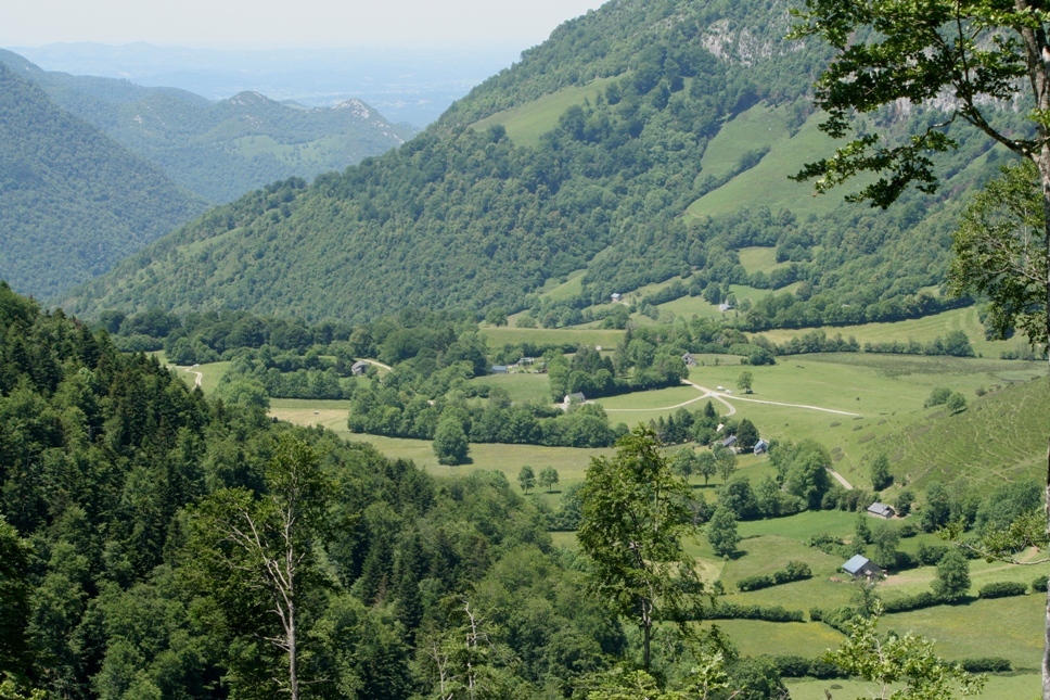 The Port de Castet loop - CASTET VTT - Gourette - Pyrénées-Atlantiques