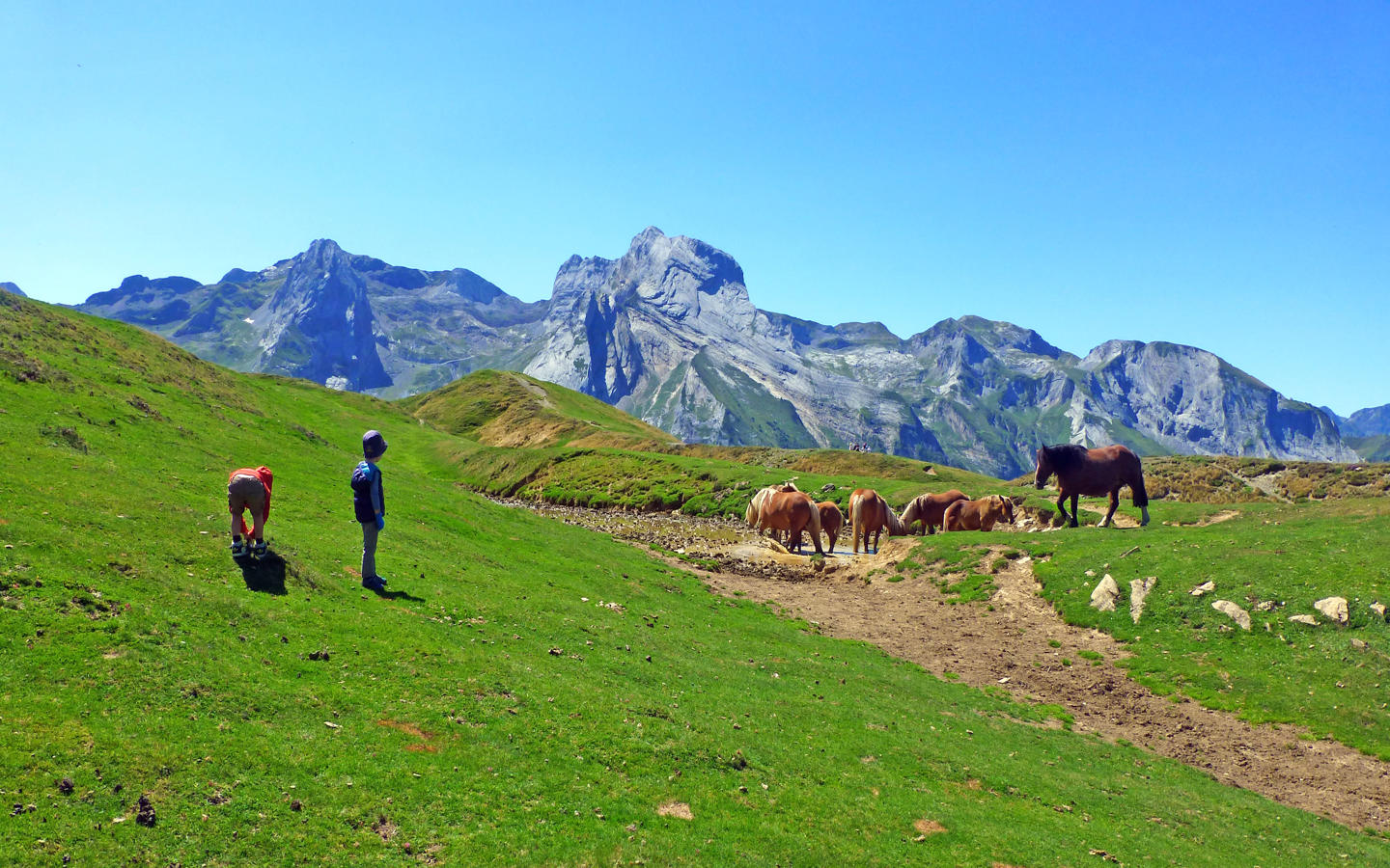 Soum de grum loop - BEOST Pedestrian - Gourette - Pyrénées-Atlantiques